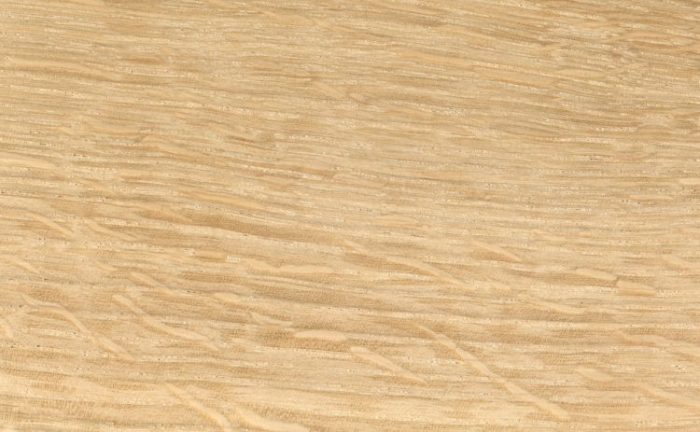 What are Medullary Rays in Oak Wood?