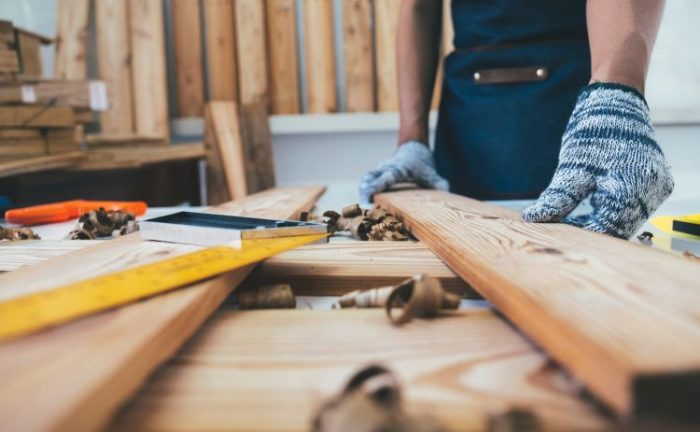 What are Medullary Rays in Oak Wood?